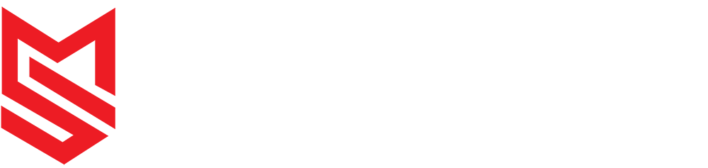 Maddisoft | Simplified Technology Solutions for Your Business